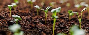 Environmental & Agricultural Testing Laboratory Ireland | IAS